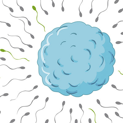 Fertility Awareness Week - How Fertility Reflexology Can Help